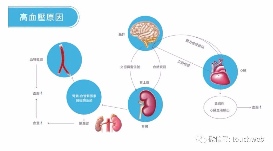 知丘-百心安生物通过聆讯：年亏3.4亿，医治血管疾病及高血压