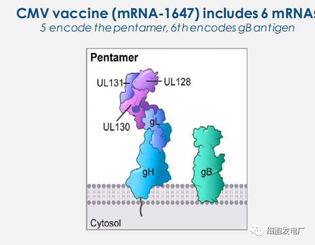 知丘-Moderna：mRNA药物巨擘