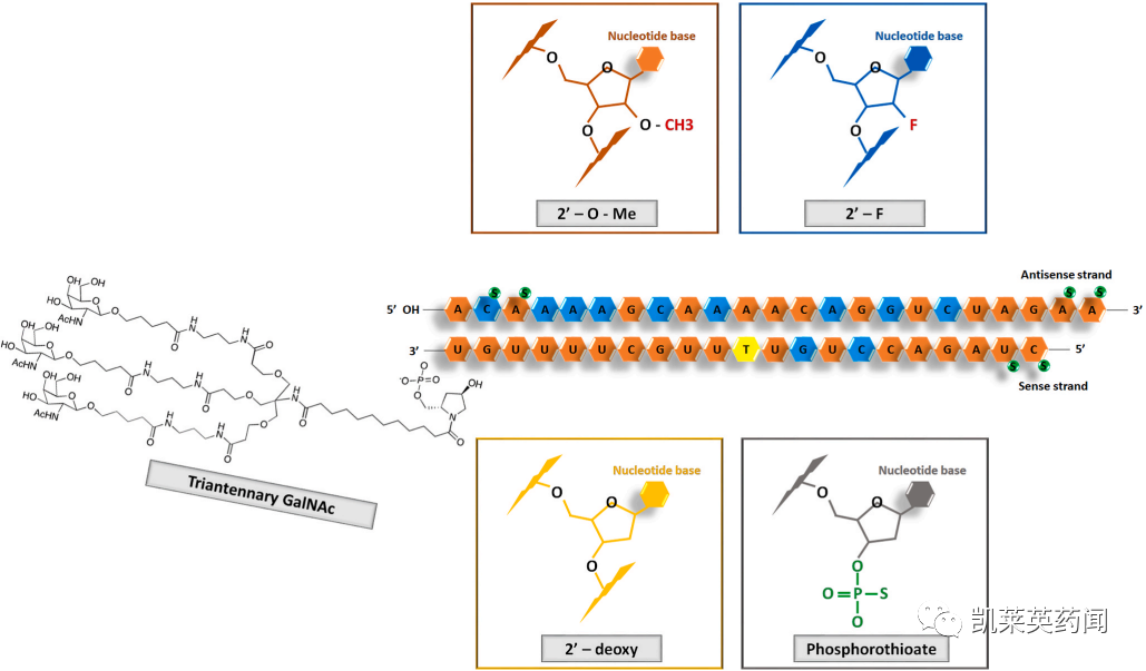 知丘-FDA批准首个降脂siRNA上市后，诺华、Alnylam将合作开发肝脏功能重建靶向疗法