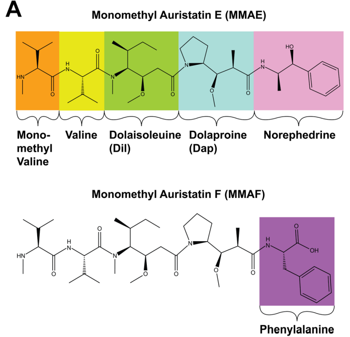 知丘-追随成功经验，从已批准的14款ADC看最成功、成药性最高的Payload与Linker