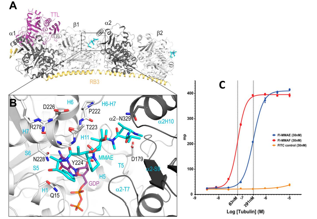 知丘-追随成功经验，从已批准的14款ADC看最成功、成药性最高的Payload与Linker