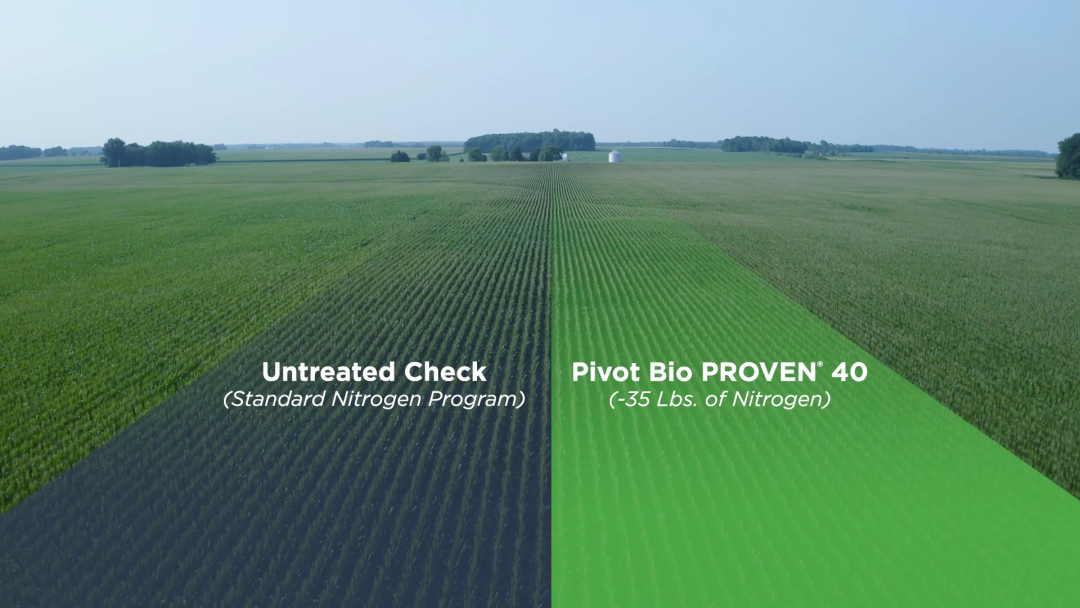 知丘-Pivot Bio推出首个「施用于种子」的工程固氮菌产品，CLAM工艺提高微生物田间稳定性