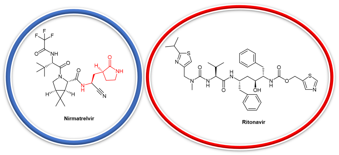 知丘-Paxlovid：作为蛋白酶抑制剂的分子研发历程