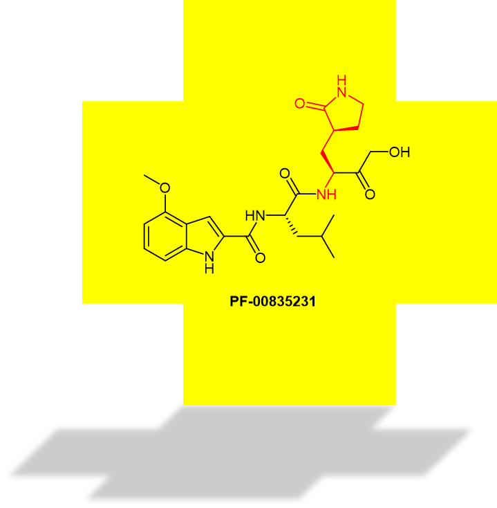 知丘-Paxlovid：作为蛋白酶抑制剂的分子研发历程