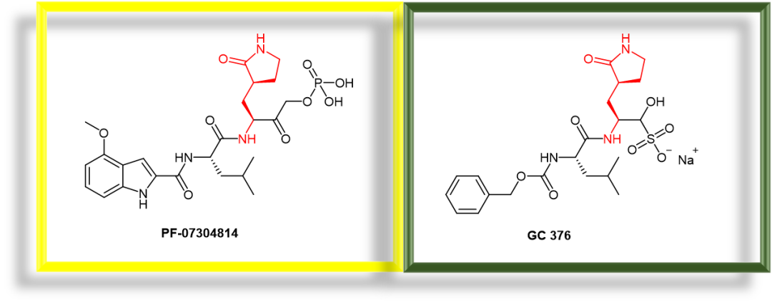 知丘-Paxlovid：作为蛋白酶抑制剂的分子研发历程