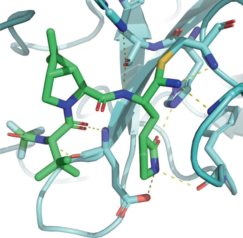 知丘-Paxlovid：作为蛋白酶抑制剂的分子研发历程