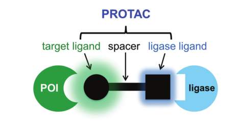 知丘-全球15款上市ADC药物技术透视及未来创新方向
